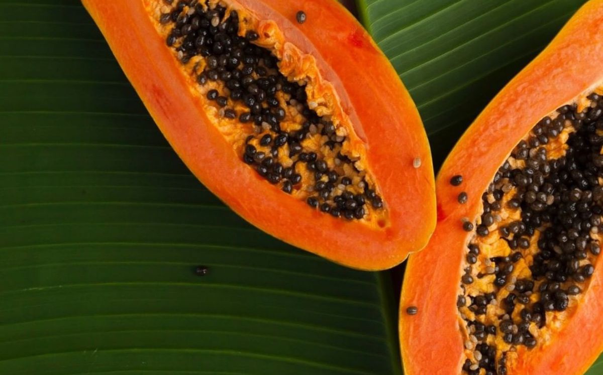 Semillas de papaya: Cómo usarlas para desinflamar el vientreFama