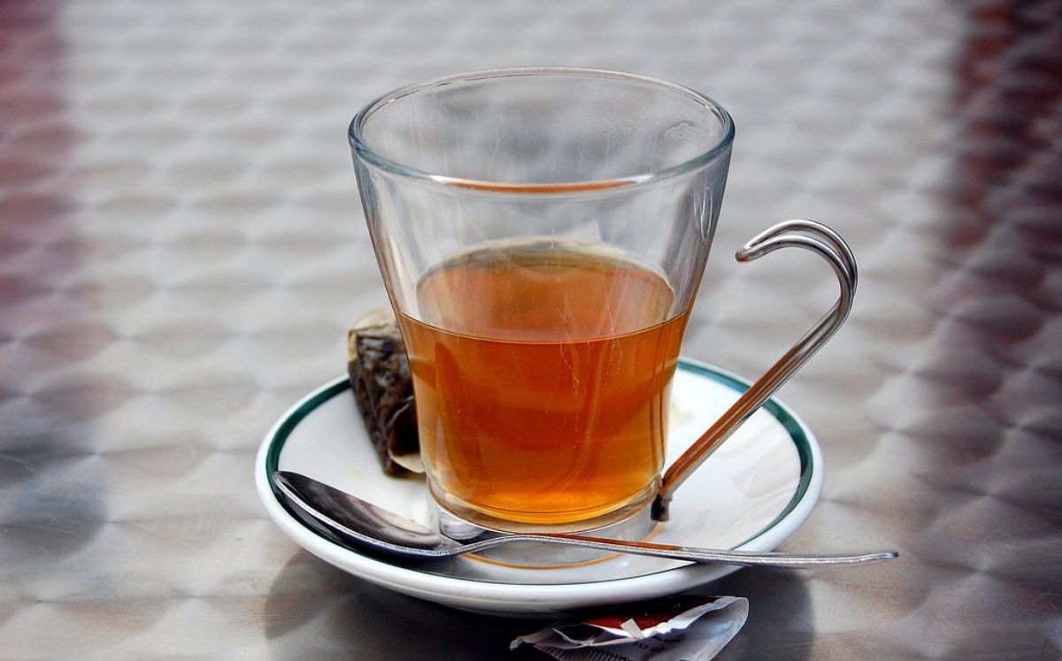 Té de grama: ¿Qué es y para qué tomarlo?Fama