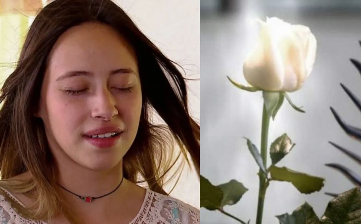 ¿Cómo se crea el aire de La Rosa de Guadalupe? - Fama