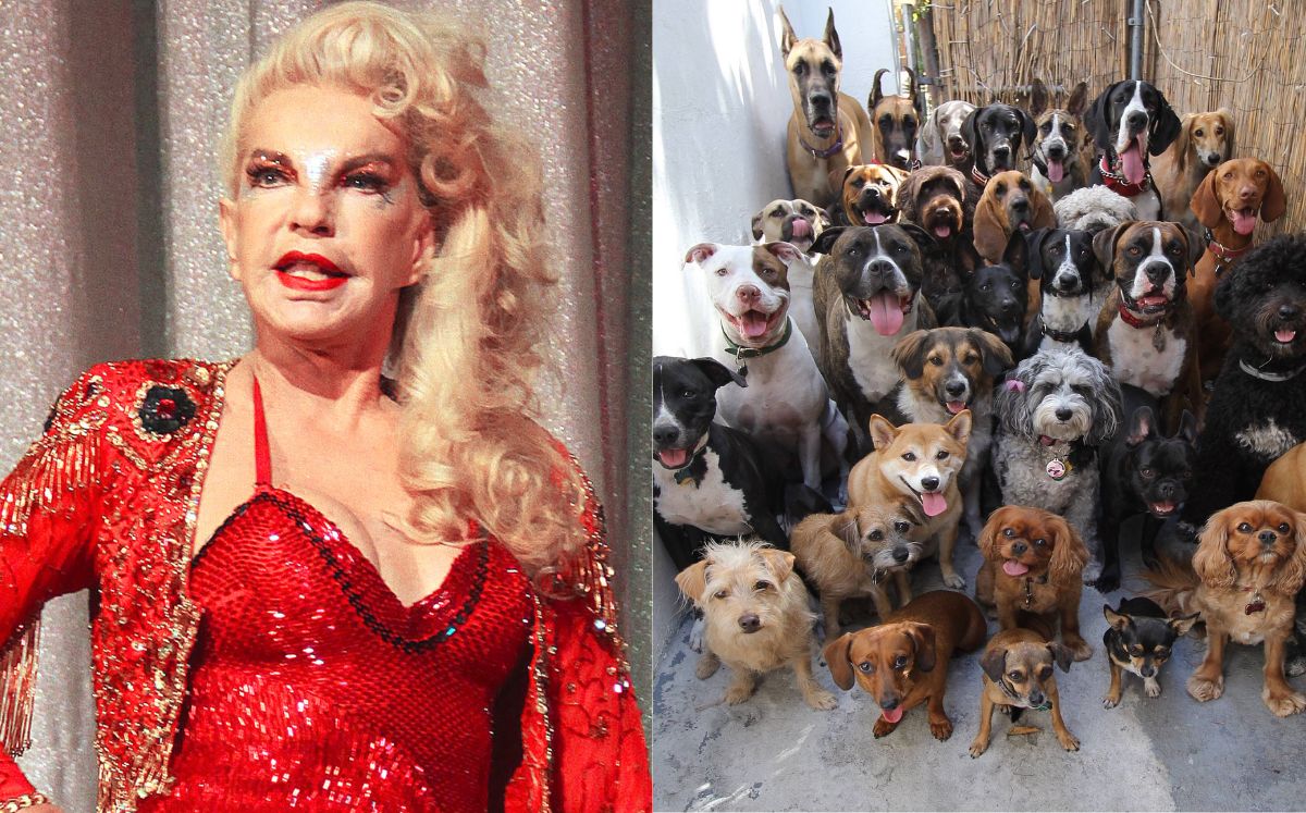 La TRISTE razón por la que Wanda Seux adoptó a 43 perros - Fama