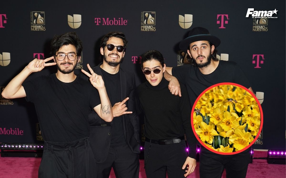 Por qué se dan flores el 29 de febrero y que tiene que ver con Morat - Fama