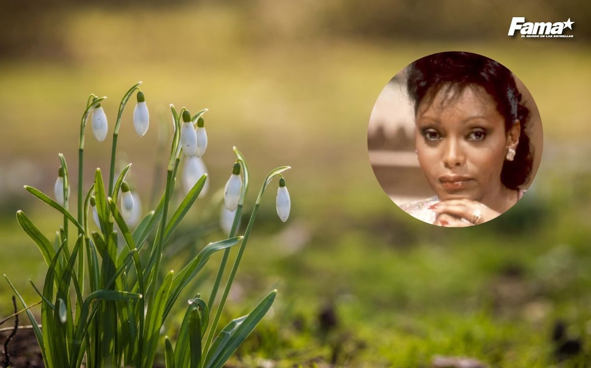 Muere famosa actriz a los 77 años tras sufrir tres derrames cerebrales ...