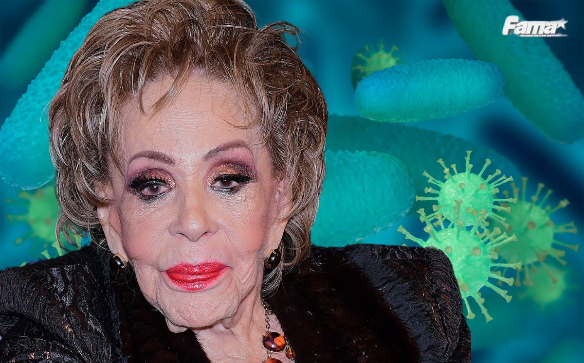 ¿Cuál es la enfermedad que llevó a la muerte a Silvia Pinal? - Fama