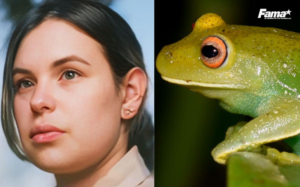 Muere la actriz Marcela Alcázar tras ingerir veneno de rana - Fama