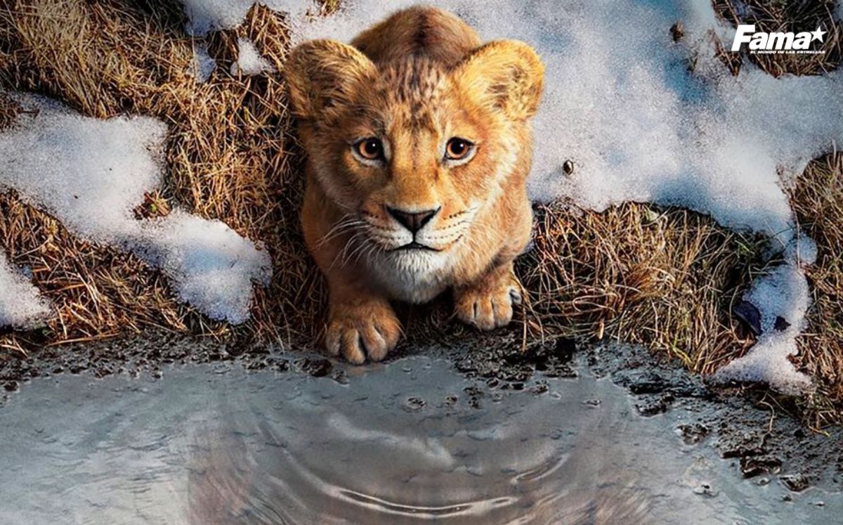 ‘Mufasa: El Rey León’: Ellos son los actores del doblaje en español - Fama