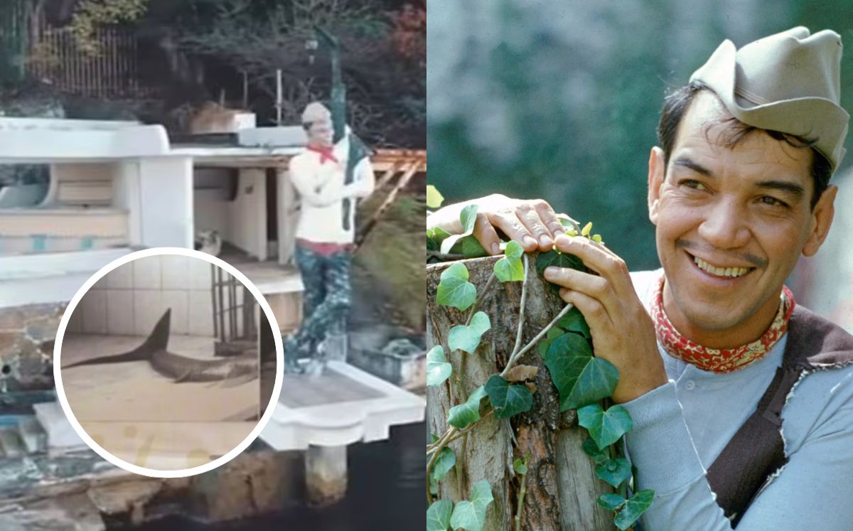 ¿Cantinflas tenía sirenas en su casa? Filtran fotos de su mansiónFama