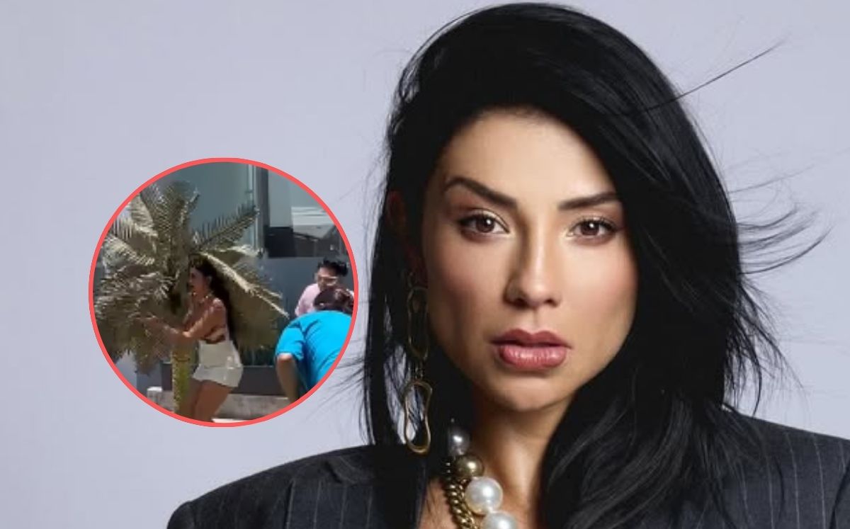 Ferka sufre incidente en programa en vivo tras caerle una palmera - Fama