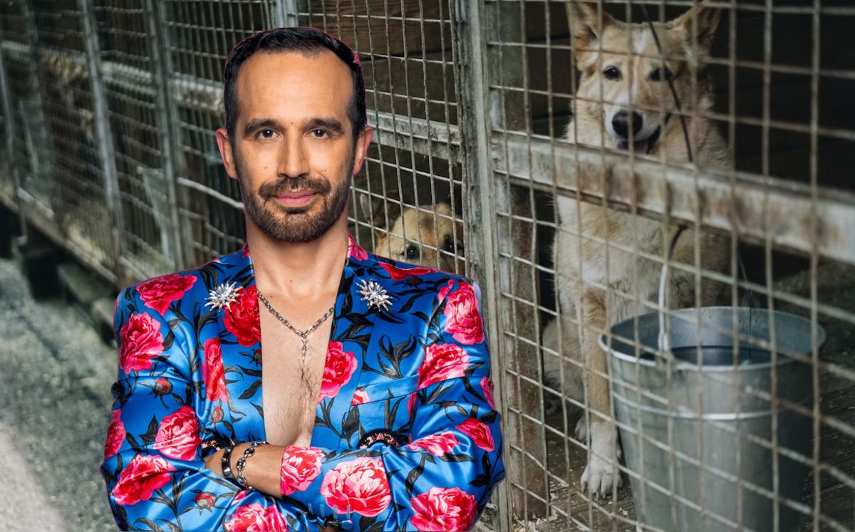 Guana promete donaciones para animales a cambio de votos en LCDLF - Fama