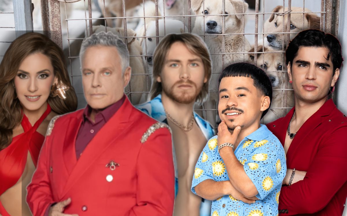 Transfer to Steam :: Infinity Nikki General Discussions - NewsyList